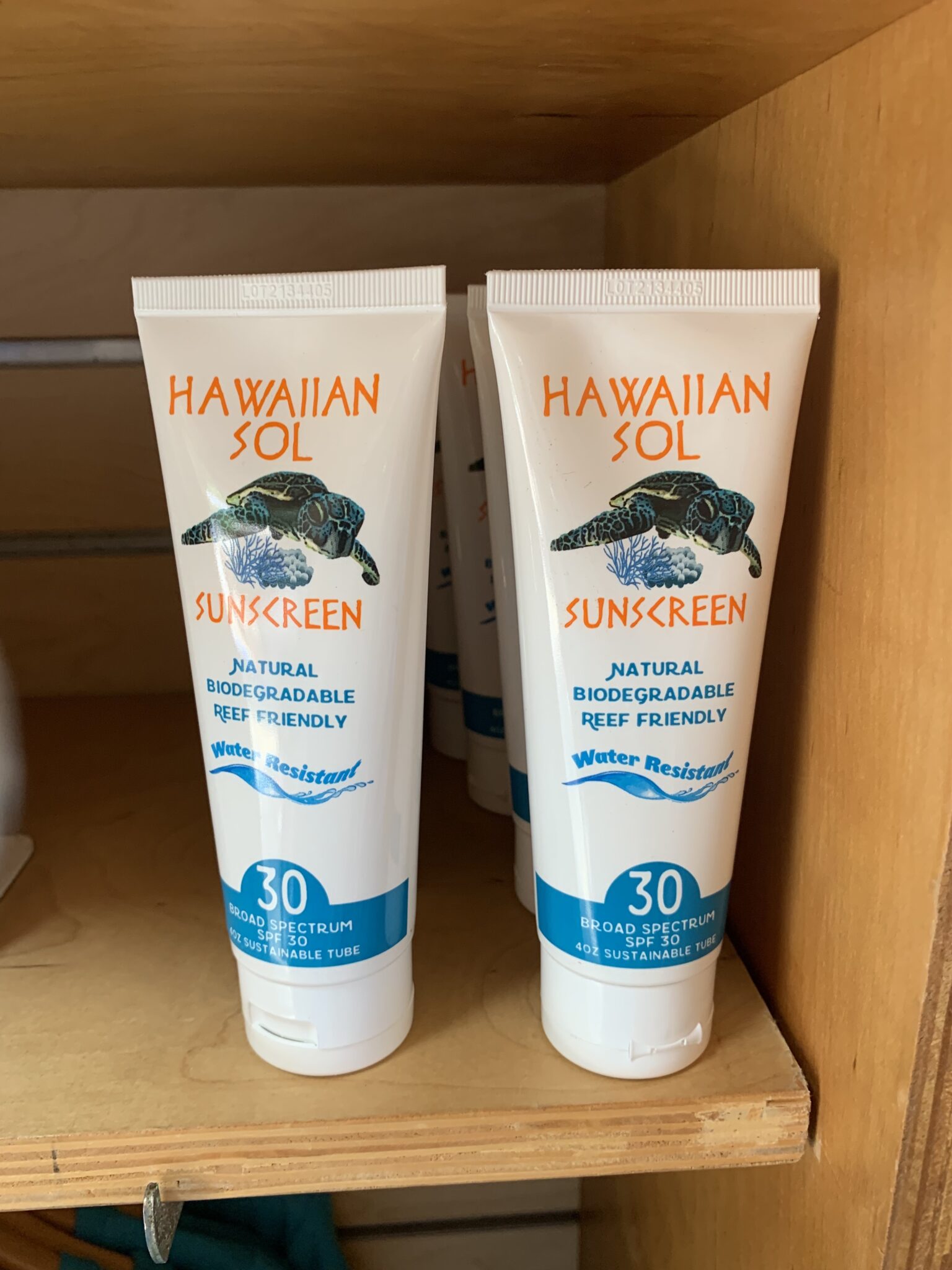 ALOHA OH YEAH! - 大阪のインターナショナルプリスクール【グローバルヴィレッジ】